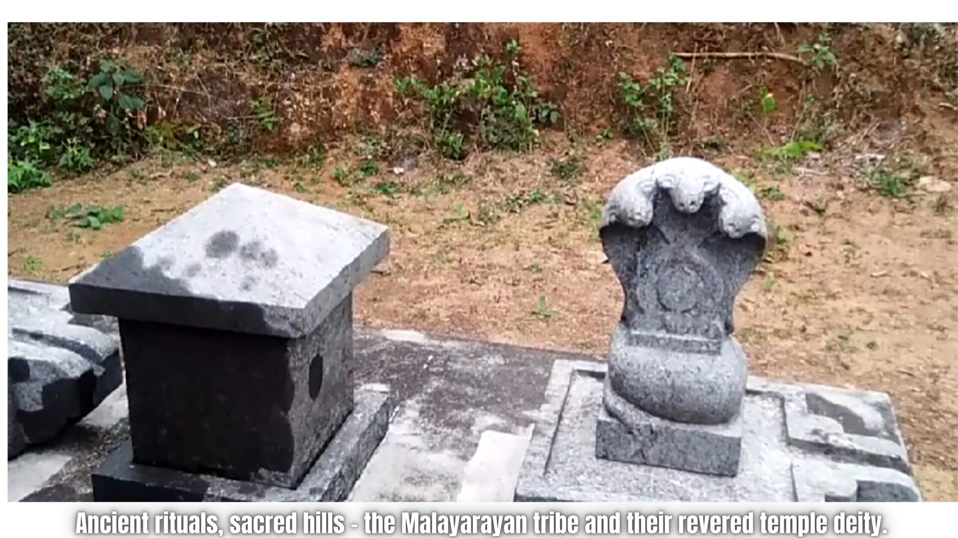 Top 7 Unseen Kerala Tribes Ancient Strength & Modern Struggle