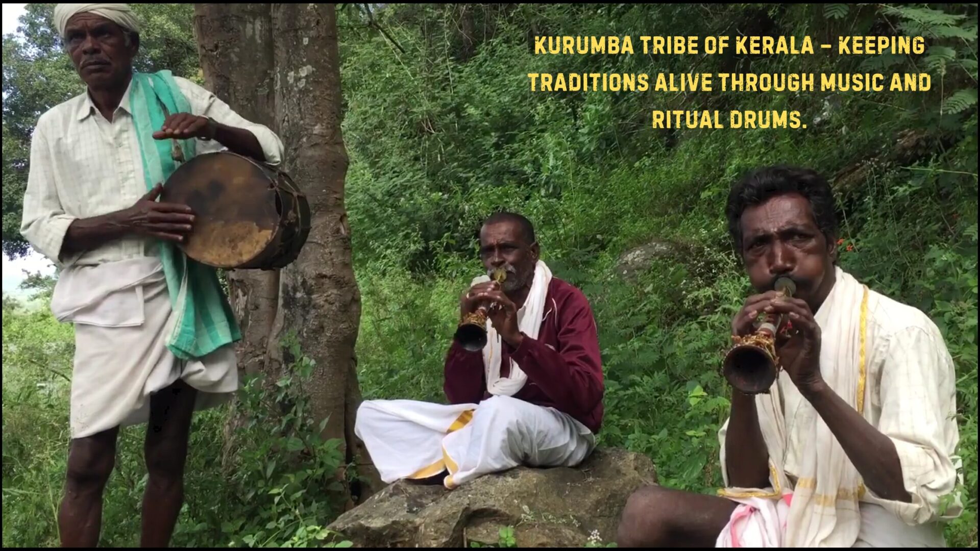 Top 7 Unseen Kerala Tribes Ancient Strength & Modern Struggle